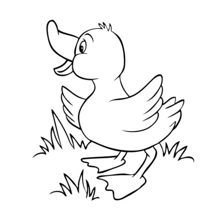 50+ Mẫu tranh tô màu con vịt đơn giản, đáng yêu cho bé - Tamkytourism.com